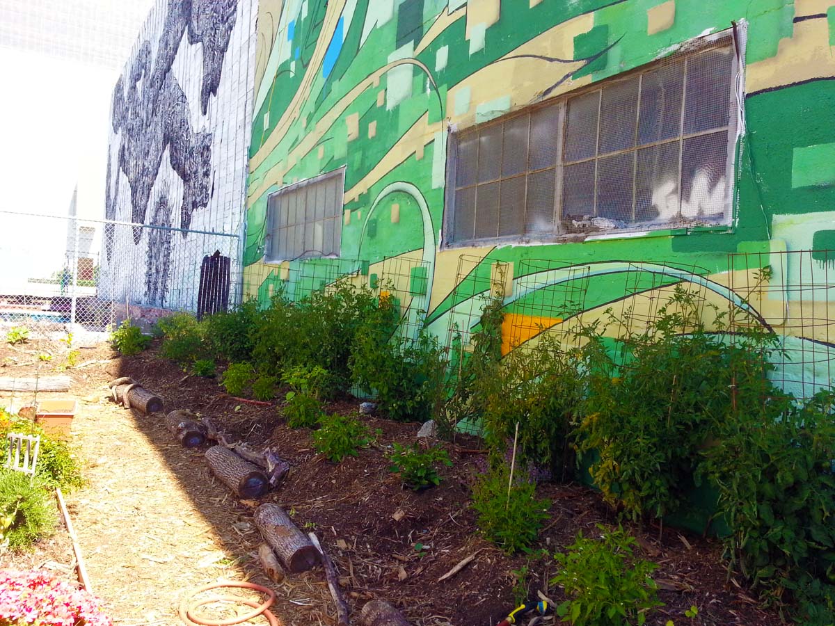 Freespace – Back Wall Graphics w Garden | San Leandro Next